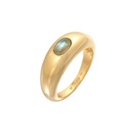 Elli Premium Ring Damen Gr&ouml;&szlig;e 52 gold