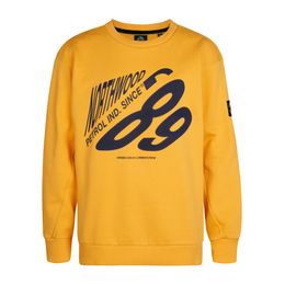 PETROL INDUSTRIES Sweatshirt 'Allegheny' Jungen Gr&ouml;&szlig;e 152 gelb / schwarz