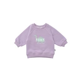 Liliput Sweatshirt 'Dino Rawr' Jungen Gr&ouml;&szlig;e 110/116 flieder