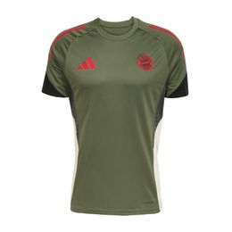 adidas Performance Trainingsshirt UCL Teamline Herren Gr&ouml;&szlig;e S gr&uuml;n