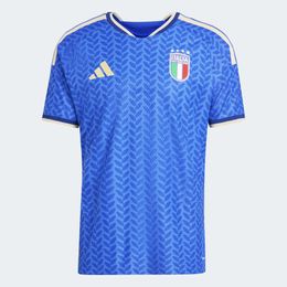 adidas Performance Trikot 'Italien 26 Authentic' Herren Gr&ouml;&szlig;e XL beige / blau / azur / wei&szlig;