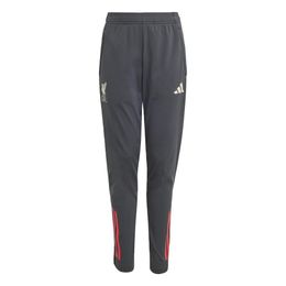 adidas Performance Sporthose 'FC Liverpool Tiro 25 Competition' Jungen Gr&ouml;&szlig;e 164 anthrazit / rot / wei&szlig;