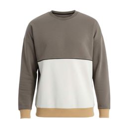 Ombre Sweatshirt Herren Gr&ouml;&szlig;e L beige / grau / wei&szlig;