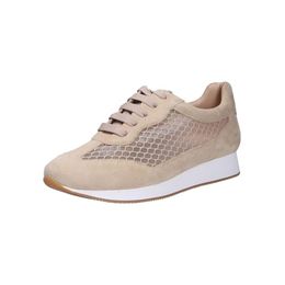 Peter Kaiser Sneaker in beige | Gr.: 38,5