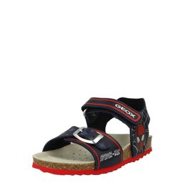 Geox Sandale Jungen Gr&ouml;&szlig;e 35 navy / dunkelblau / rot / wei&szlig;