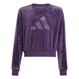 adidas Sportswear Sweatshirt M&auml;dchen Gr&ouml;&szlig;e 152 aubergine / dunkellila