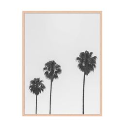 Liv Corday Bild 'Palm Tree Plant' Herren Gr&ouml;&szlig;e 30x40 hellbraun / schwarz / wei&szlig;
