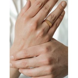 Hey Happiness Ring 'Signet' Herren Gr&ouml;&szlig;e 68 gold