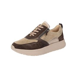 Sioux Sneaker ' Sunivla-702-J ' Damen Gr&ouml;&szlig;e 36 beige / braun