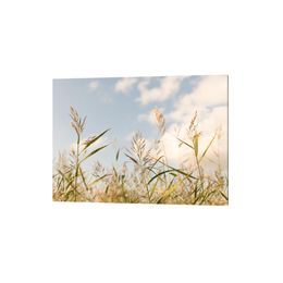 Liv Corday Bild 'Beach Grass' Herren Gr&ouml;&szlig;e 60x80 rauchblau / hellgelb / grau / schilf / offwhite