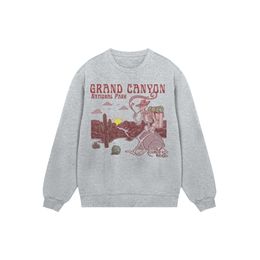 F4NT4STIC Sweatshirt 'US National Parks Grand Canyon Sunrise' Herren Gr&ouml;&szlig;e XS grau / altrosa / rot