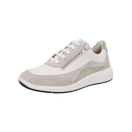 SOLIDUS Sneaker 'Halea' Damen Gr&ouml;&szlig;e 36 greige / jade / wei&szlig;