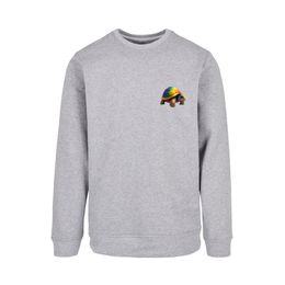 F4NT4STIC Sweatshirt 'Rainbow Turtle' Herren Gr&ouml;&szlig;e XL grau / mischfarben
