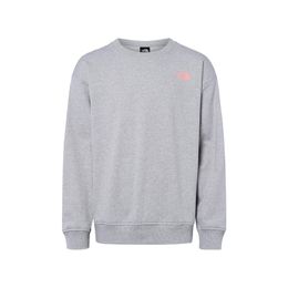 The North Face Sweatshirt Herren Gr&ouml;&szlig;e S hellgrau