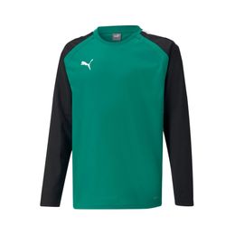 Puma Sportsweatshirt 'TeamLiga' Jungen Gr&ouml;&szlig;e 116 smaragd / schwarz / wei&szlig;