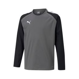 Puma Funktionsshirt 'TeamLiga' Jungen Gr&ouml;&szlig;e 116 grau / schwarz / wei&szlig;