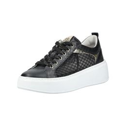 Nero Giardini Sneaker Damen Gr&ouml;&szlig;e 38 gold / schwarz