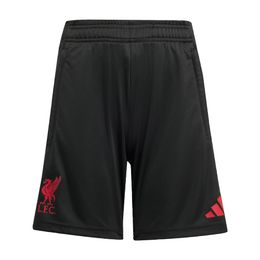 adidas Performance Sporthose 'Liverpool FC Tiro 25 Competition' Jungen Gr&ouml;&szlig;e 176 sand / rot / schwarz
