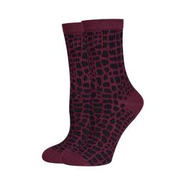 JOOP! Socken Damen Gr&ouml;&szlig;e 39/42 weinrot / schwarz
