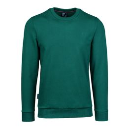 Spitzbub Pullover 'Florentin' Herren Gr&ouml;&szlig;e L gr&uuml;n