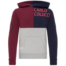 Carlo Colucci Sweatshirt Jungen Gr&ouml;&szlig;e 122/128 navy / graumeliert / beere / wei&szlig;
