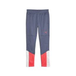 Puma Sporthose 'individualCUP' Jungen Gr&ouml;&szlig;e 164 grau / blutrot / wei&szlig;