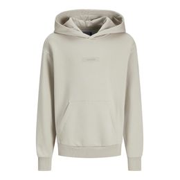 Jack & Jones Jack & Jones Junior Hoodie 'Taka' Jungen Gr&ouml;&szlig;e 152 hellgrau