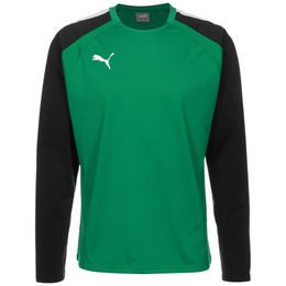 Puma Funktionsshirt 'Team Liga' Herren Gr&ouml;&szlig;e XXXL gr&uuml;n / schwarz / wei&szlig;
