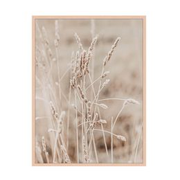 Liv Corday Wandbild 'Dry Field' Herren Gr&ouml;&szlig;e 30x40 beige / nude / braun / hellbraun
