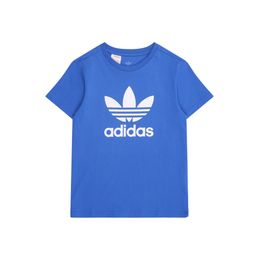 adidas originals Shirt 'Adicolor Trefoil Tee' Jungen Gr&ouml;&szlig;e 164 royalblau / wei&szlig;