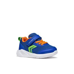 Geox Sneaker Jungen Gr&ouml;&szlig;e 27 blau / gr&uuml;n / orange
