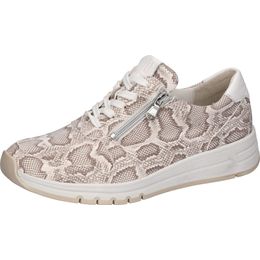 Waldl&auml;ufer Waldl&auml;ufer Sneaker Damen Gr&ouml;&szlig;e 41 beige / creme / braun / wei&szlig;