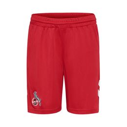 Hummel Sporthose Jungen Gr&ouml;&szlig;e 164 rot