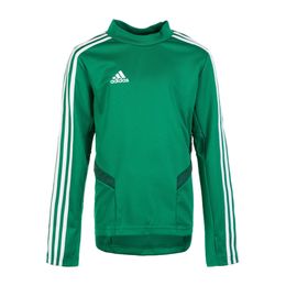 adidas Performance Sportsweatshirt 'Tiro 19' Jungen Gr&ouml;&szlig;e 164 gr&uuml;n / wei&szlig;
