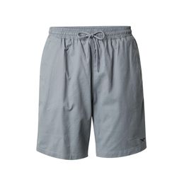 Iriedaily Shorts 'Love'n Relax' Herren Gr&ouml;&szlig;e 31/32 rauchblau / grau