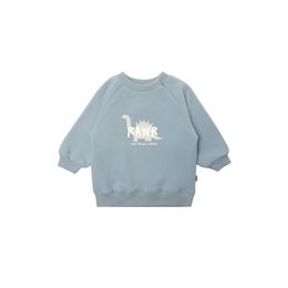 Liliput Sweatshirt 'Dino Rawr' Jungen Gr&ouml;&szlig;e 98/104 hellblau