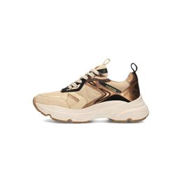 Haboob Sneaker low 'OLIVIA' Damen Gr&ouml;&szlig;e 39 beige / creme / gold / schwarz