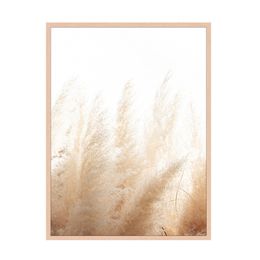 Liv Corday Bild 'Pampa Grass' Herren Gr&ouml;&szlig;e 30x40 braun / wei&szlig;