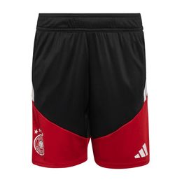 adidas Performance Trainingsshort DFB Home Herren Gr&ouml;&szlig;e XXXL rot / schwarz / wei&szlig;