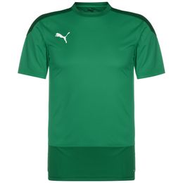 Puma Sportshirt 'TeamGoal 23' Herren Gr&ouml;&szlig;e S gr&uuml;n / dunkelgr&uuml;n