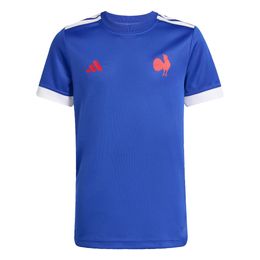 adidas Performance Funktionsshirt 'Frankreich Rugby Home' Jungen Gr&ouml;&szlig;e 164 blau / rot / wei&szlig;