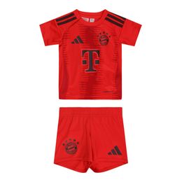 adidas Performance Trainingsanzug 'FC Bayern 24/25 Home' Gr&ouml;&szlig;e 86 bordeaux / feuerrot / schwarz