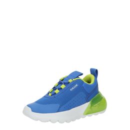 Geox Sneaker 'Illuminus' M&auml;dchen Gr&ouml;&szlig;e 37 royalblau / kiwi / wei&szlig;