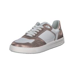 Sioux Sneaker 'Maites' Damen Gr&ouml;&szlig;e 39 bronze / wei&szlig;