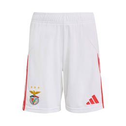 adidas Performance Sportshorts 'Benfica Lissabon 25/26' Jungen Gr&ouml;&szlig;e 176 azur / curry / rot / wei&szlig;