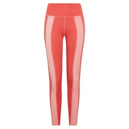 Born Living Yoga Hose'Bindi' Damen Gr&ouml;&szlig;e XS rosa / himbeer