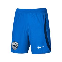 Nike Shorts Herren Gr&ouml;&szlig;e L royalblau / basaltgrau / schwarz / wei&szlig;