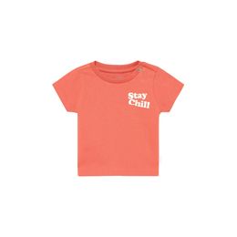 Noppies T-Shirt Jungen Gr&ouml;&szlig;e 56 orange / wei&szlig;