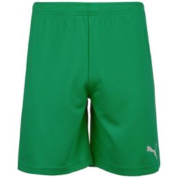 Puma Sportshorts 'TeamRise' Herren Gr&ouml;&szlig;e XL gr&uuml;n / wei&szlig;