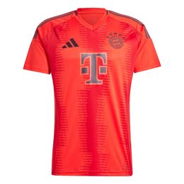 adidas Performance Trikot 'FC Bayern M&uuml;nchen 24/25' Herren Gr&ouml;&szlig;e L rot / dunkelrot / schwarz